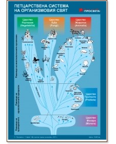 Двустранно стенно учебно табло: Петцарствена система на организмовия ...