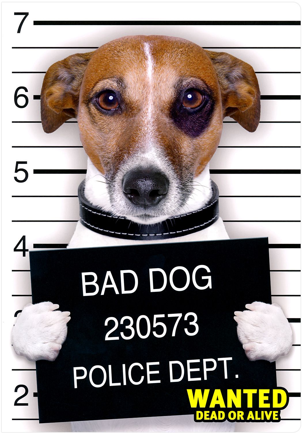 Ученическа тетрадка - Bad Dog - Формат A4 - - store.bg