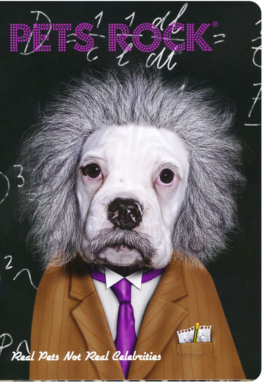 Ученическа тетрадка Pets Rock - Albert Einstein - - store.bg