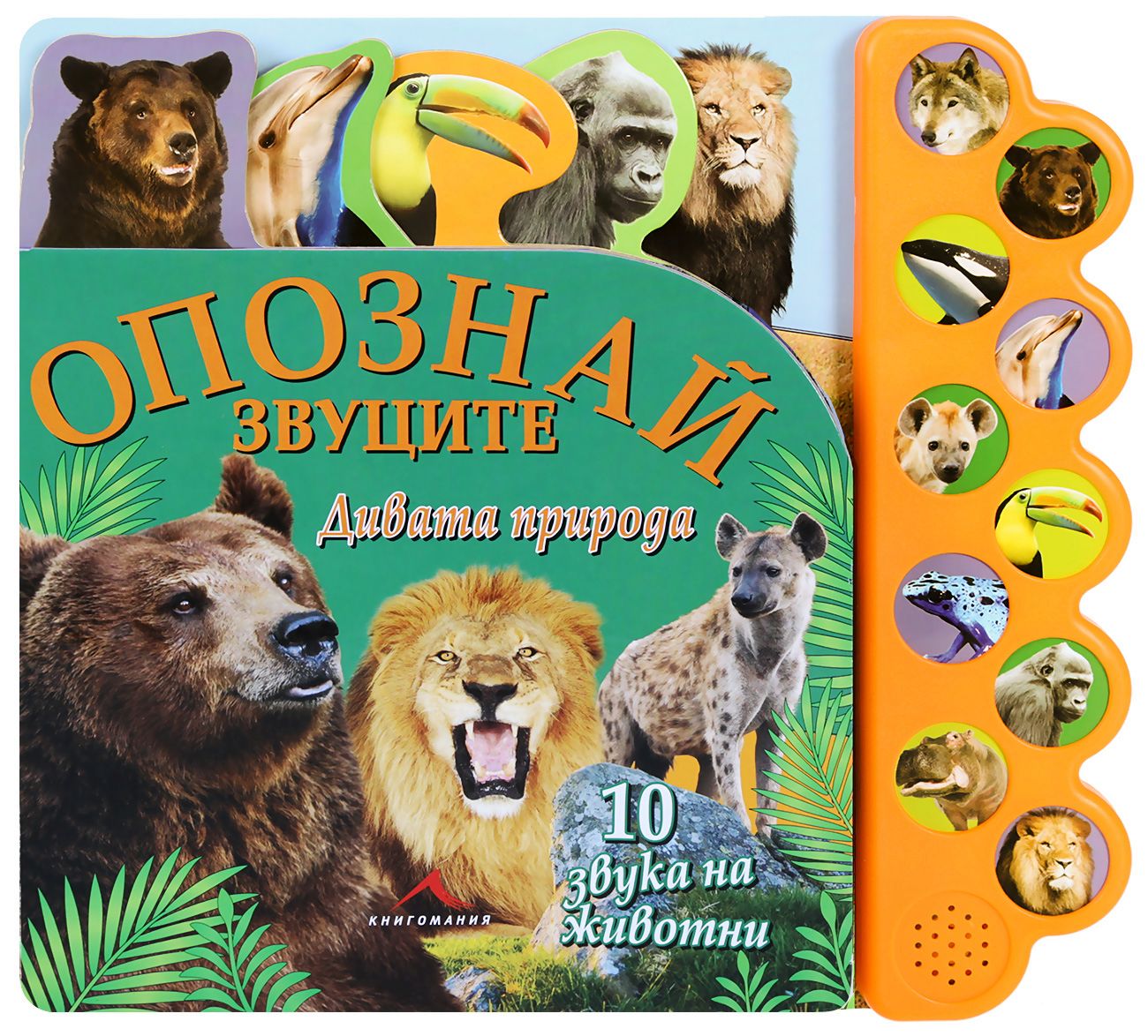 Stranicazaocvetyavanenaspyashtamechka