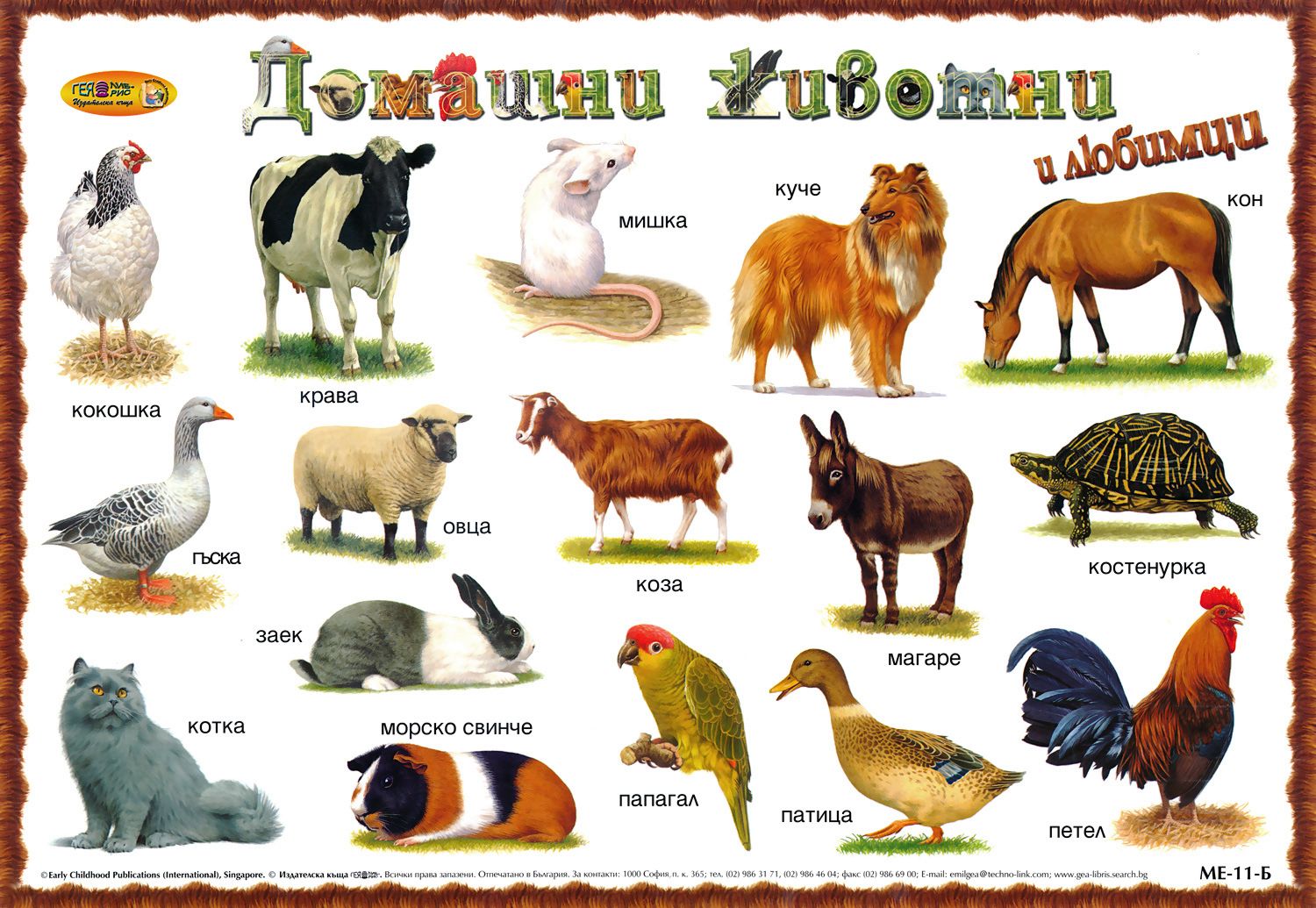 Домашни животни - табло - store.bg