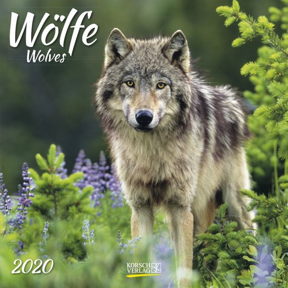 Стенен календар - Wolves 2020 - store.bg