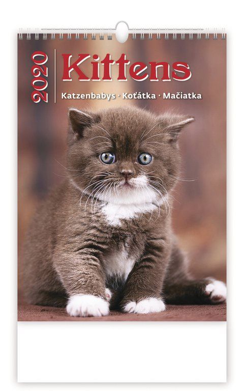 Стенен календар - Kittens 2020 - store.bg