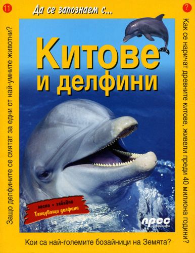 Да се запознаем с... Китове и делфини - детска книга - store.bg
