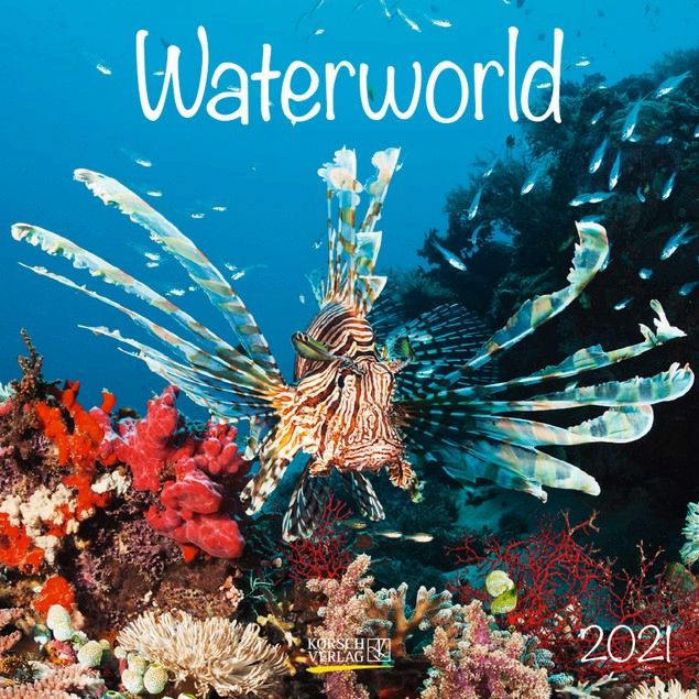 Стенен календар - Waterworld 2021 - store.bg