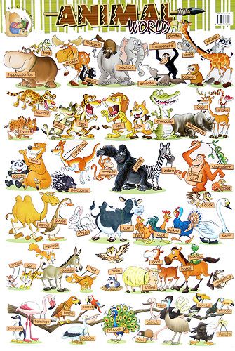 Стенно учебно табло на английски език: Animal World - store.bg