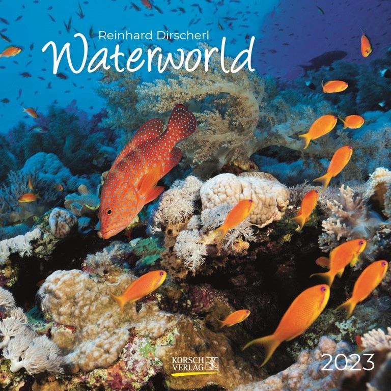 Стенен календар - Waterworld 2023 - store.bg