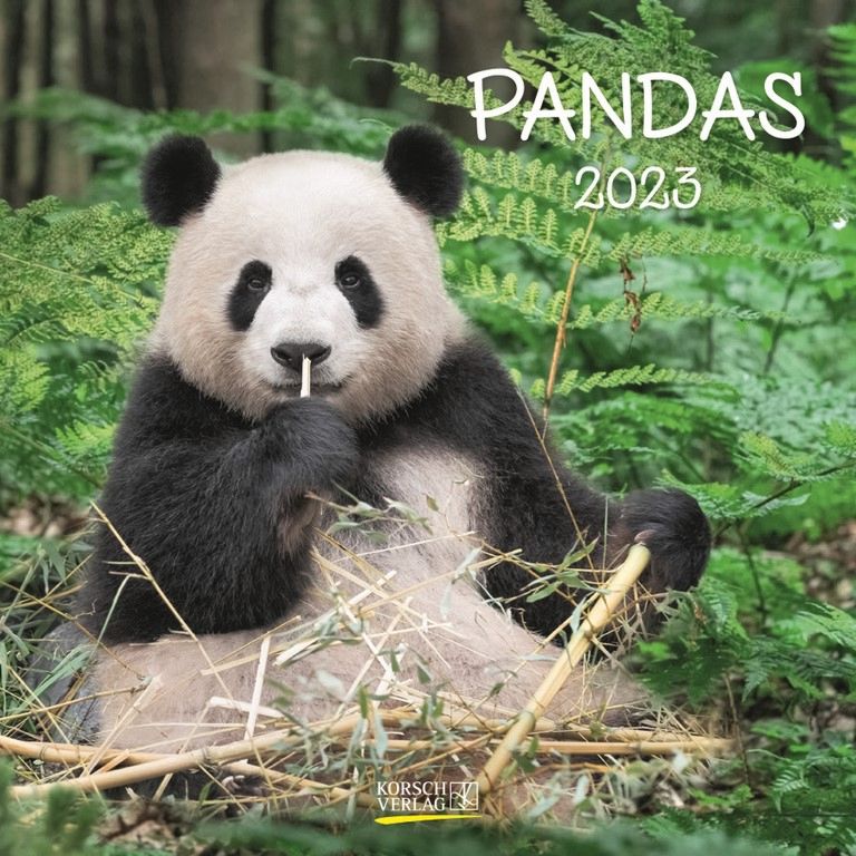 Стенен календар - Pandas 2023 - store.bg