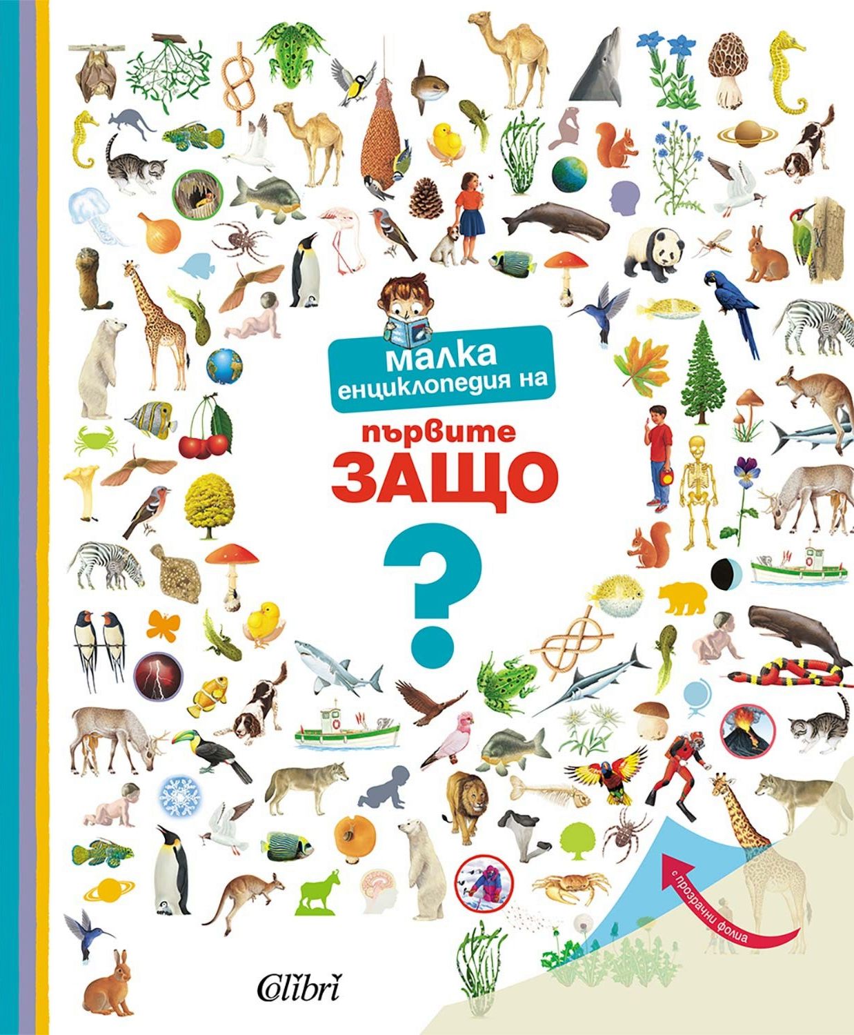 Малка енциклопедия на първите Защо - детска книга - store.bg