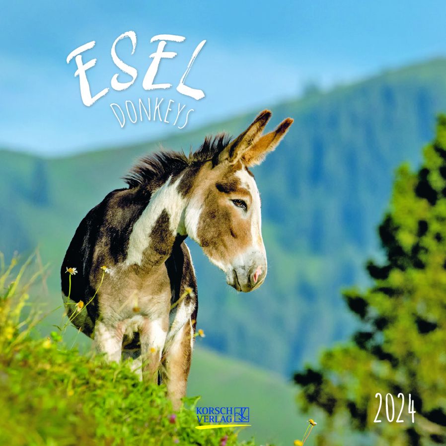 Календар с магарета 2024 - store.bg