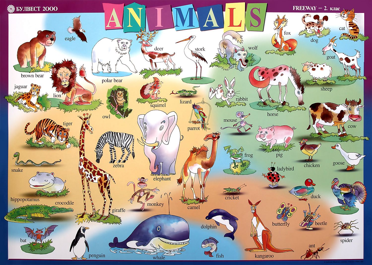 Freeway: Стенно учебно табло по английски език №3 за 2. клас : Animals ...