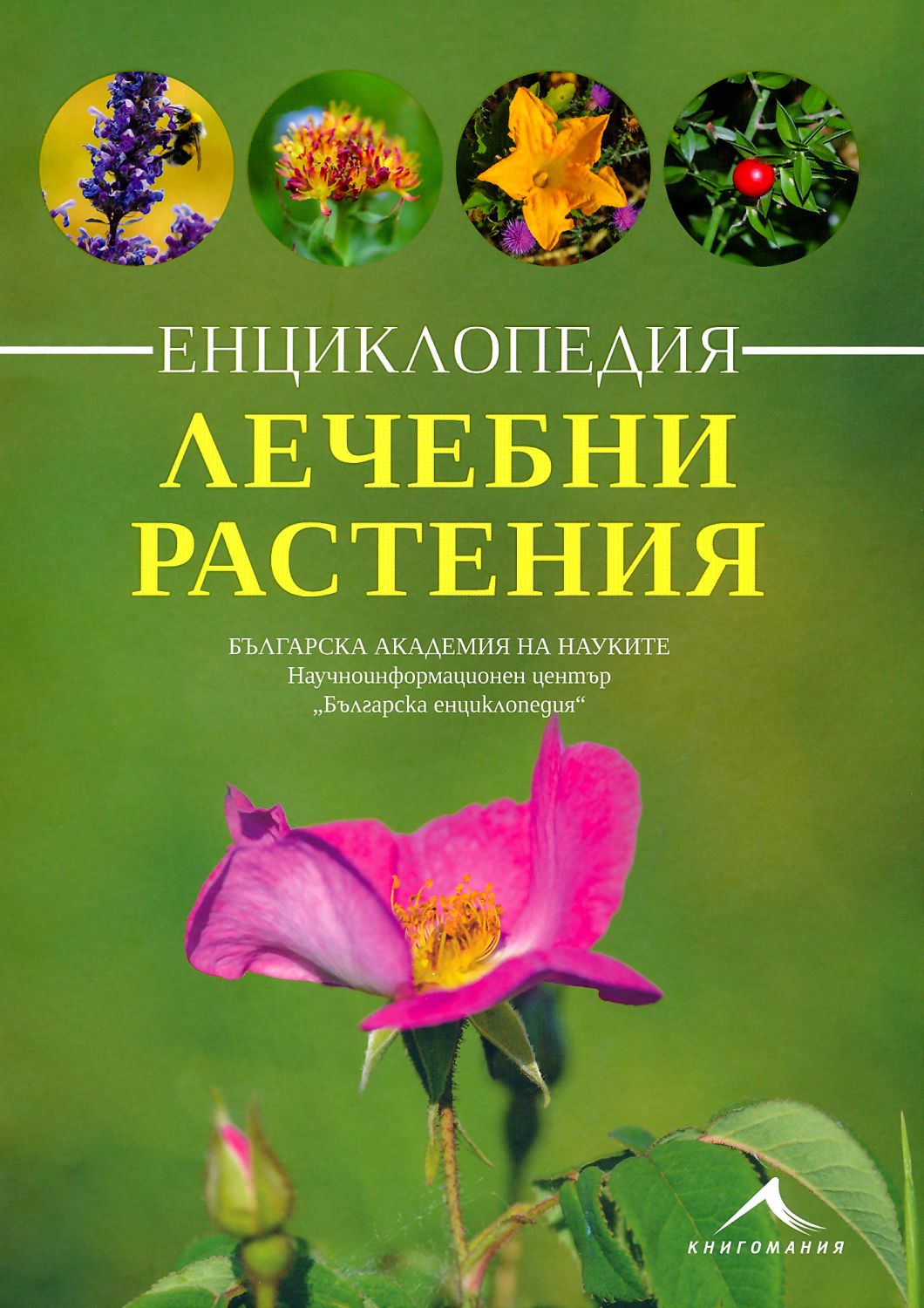 Лечебни растения. Енциклопедия - книга - store.bg