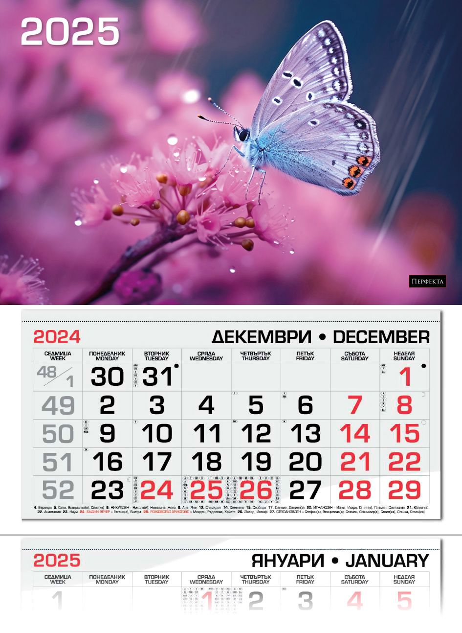 Трисекционен календар за 2025 с цветна пеперуда - store.bg