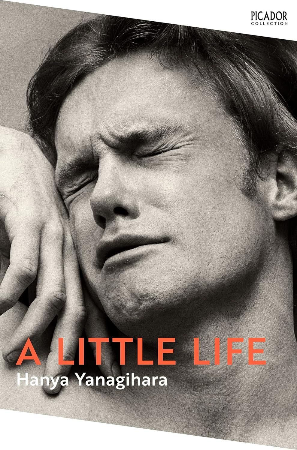 A Little Life - Hanya Yanagihara - книга - store.bg