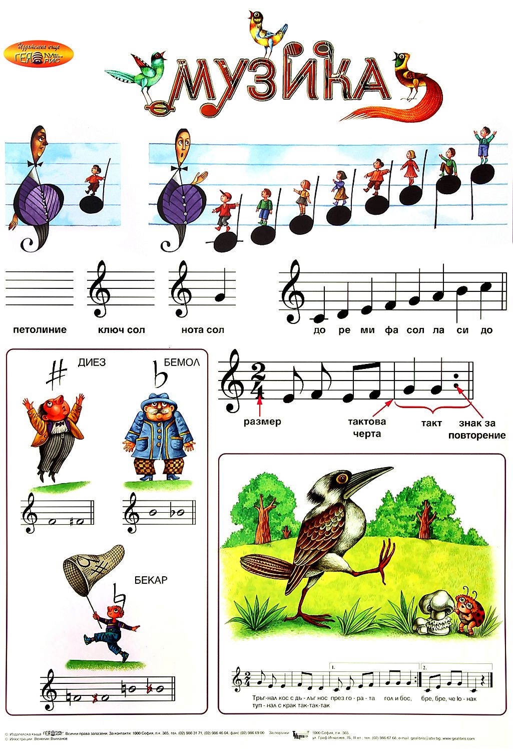 Стенно учебно табло: Музика. Петолиние - store.bg