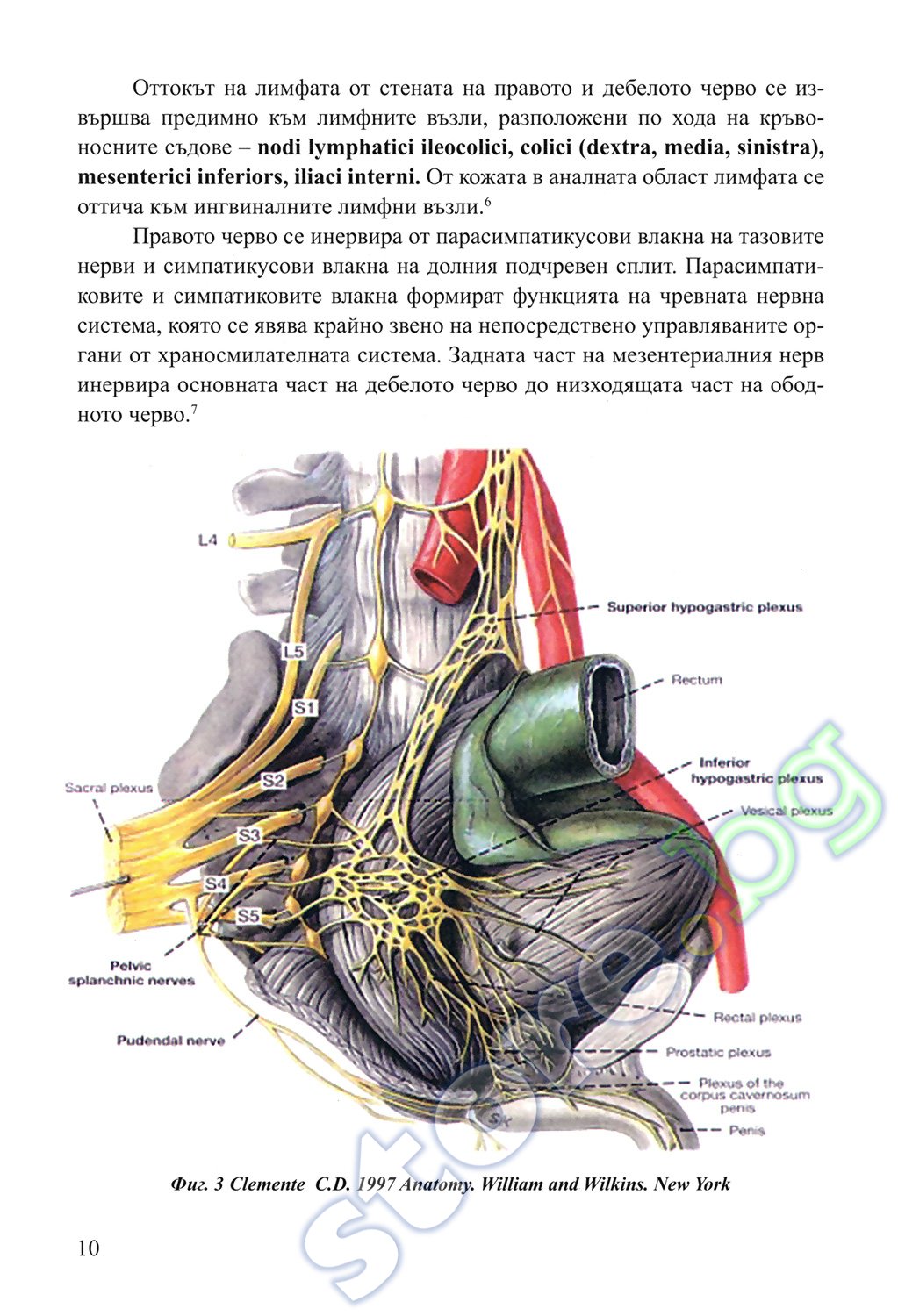 store.bg - Рак на ректума. Мултидисциплинарен подход - Доц. д-р Йовчо ...