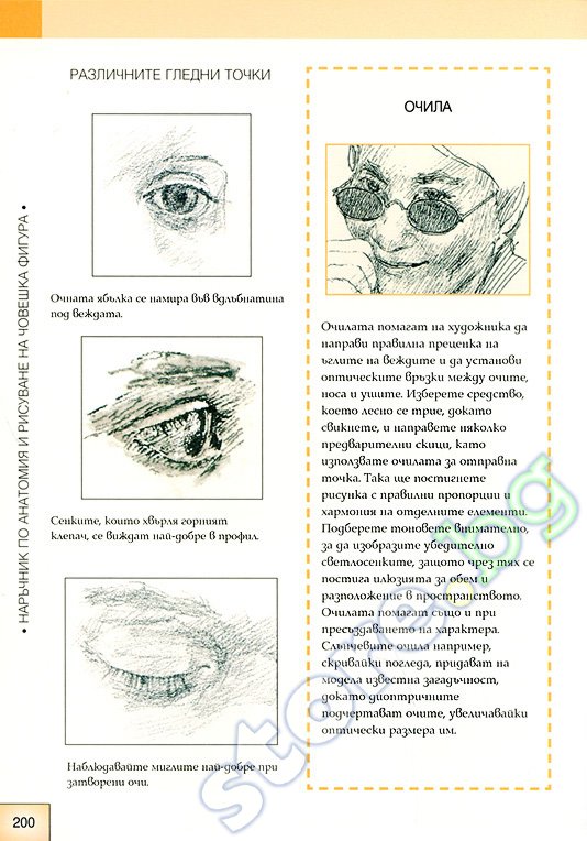 store.bg - Наръчник по анатомия и рисуване на човешка фигура - книга