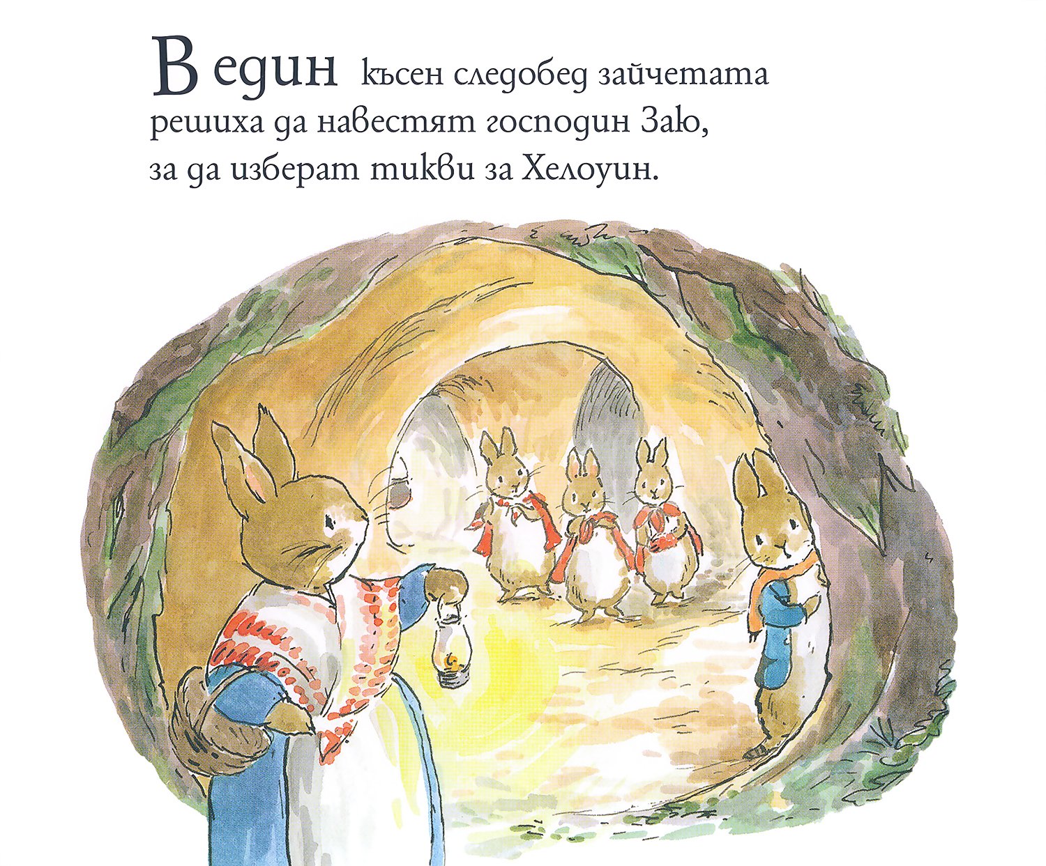 store.bg - Приказки за Зайчето Питър - книга 16: Тиква за Питър ...