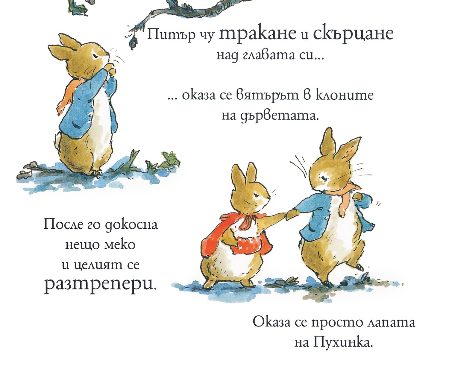 store.bg - Приказки за Зайчето Питър - книга 16: Тиква за Питър ...