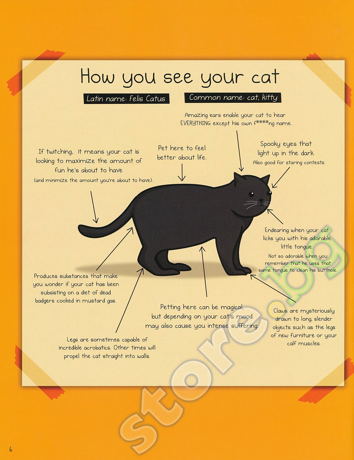 store.bg - How to Tell If Your Cat is Plotting to Kill You - Matthew ...