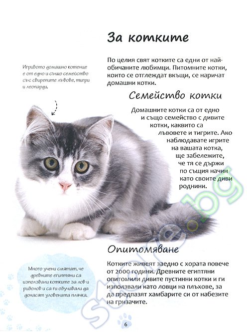 store.bg - Малка енциклопедия за котки и котенца - Сара Кан - книга